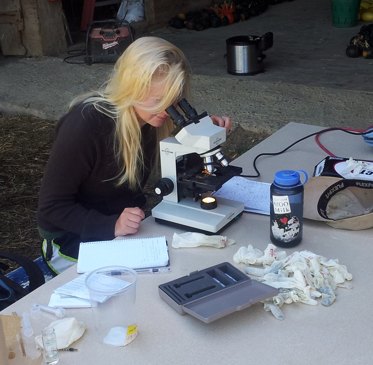 Independent Research – Dickinson College Organic Farm