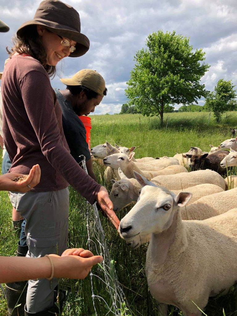 Now Hiring: Student Summer Positions – Dickinson College Organic Farm