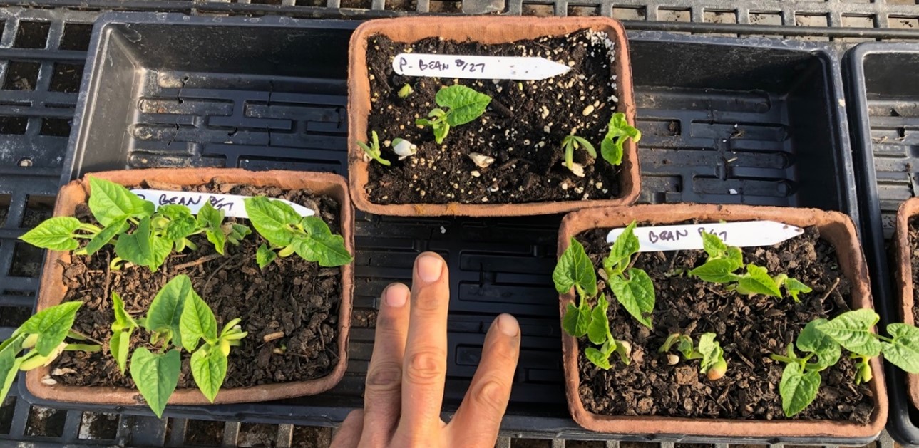 Biogas – Dickinson College Organic Farm