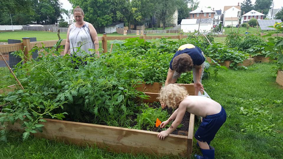 Meddy Smith – The Food Experience