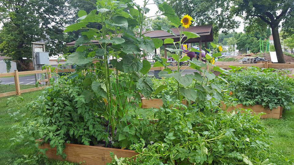 Meddy Smith | The Food Experience