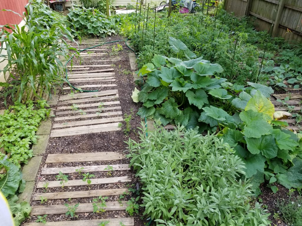 Meddy Smith – The Food Experience