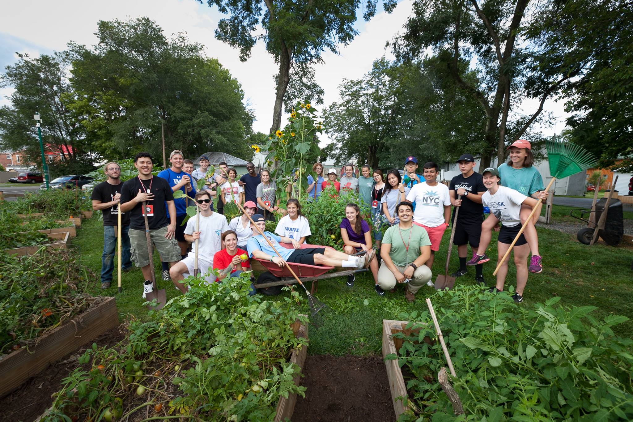 Meddy Smith – The Food Experience