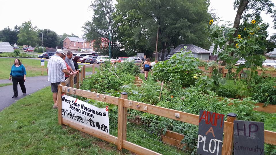 Meddy Smith – The Food Experience