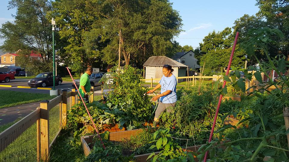 Meddy Smith – The Food Experience