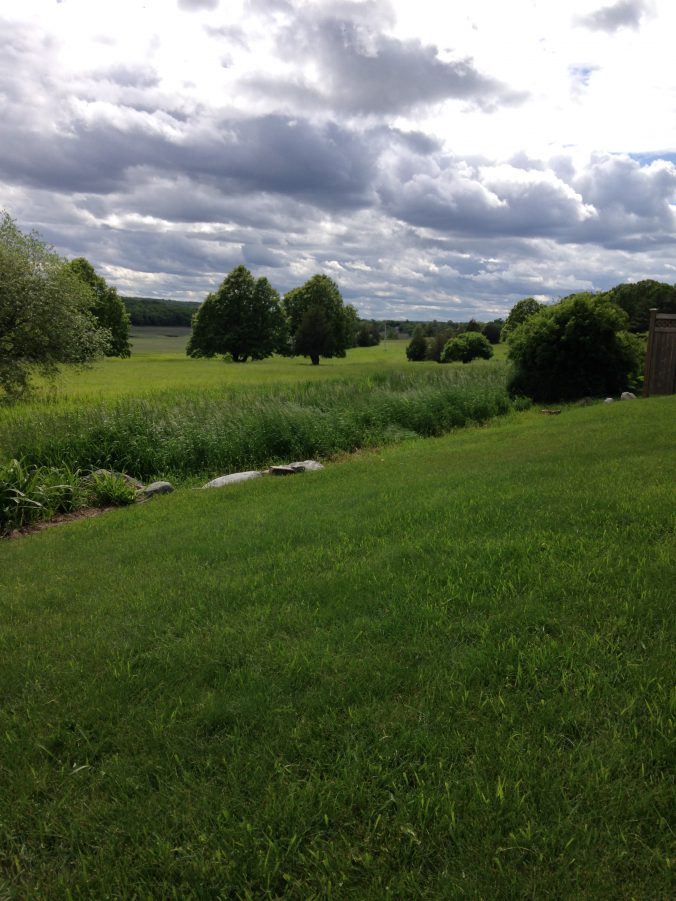 Food and the New England Environment: From early history to the 2020 ...