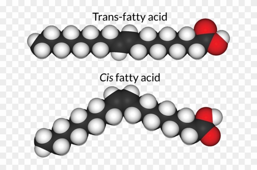 Fats & Antioxidants: An Introduction to the Chemical Composition of ...