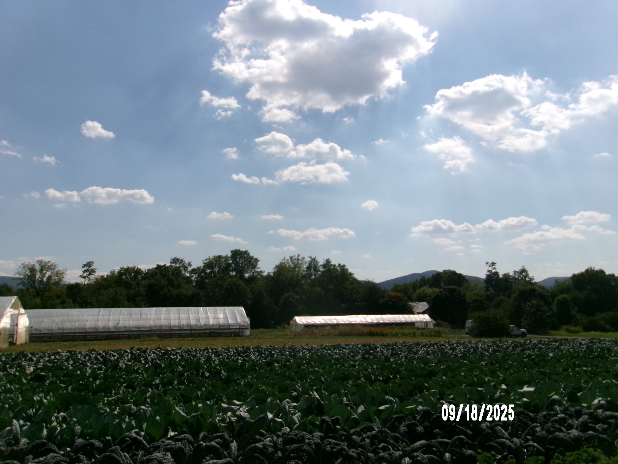 Food Systems and Models of Food Production – Food Studies