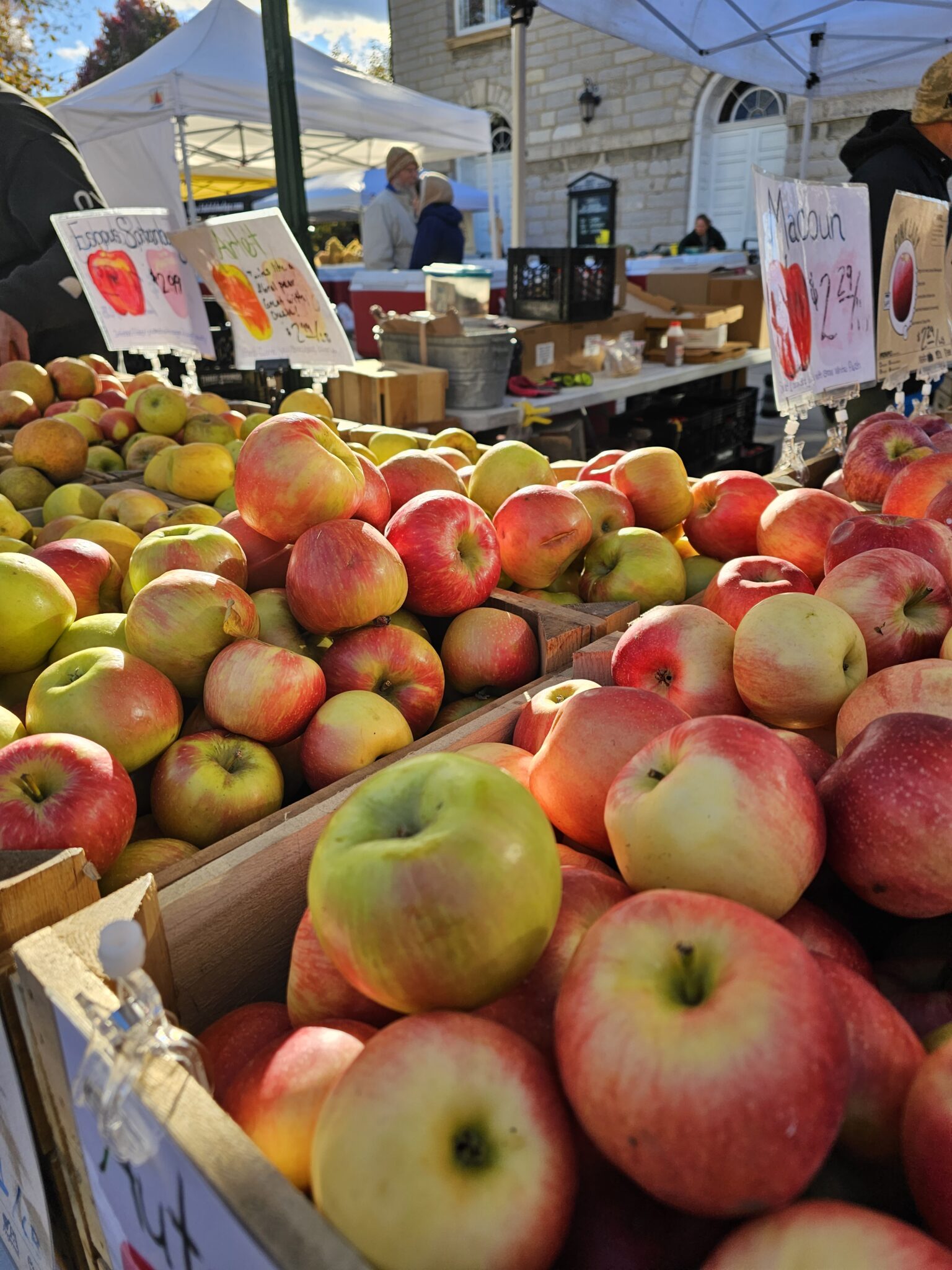 What Is Food Studies? A First Impression – Food Studies