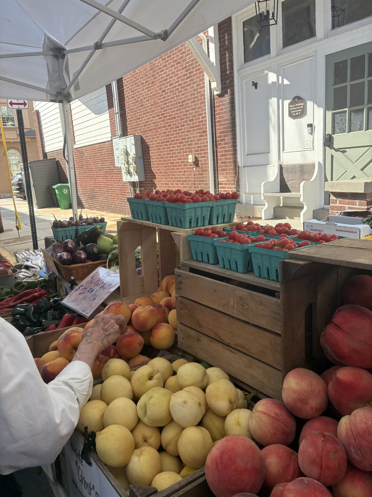 Food Systems and Models of Food Production – Food Studies