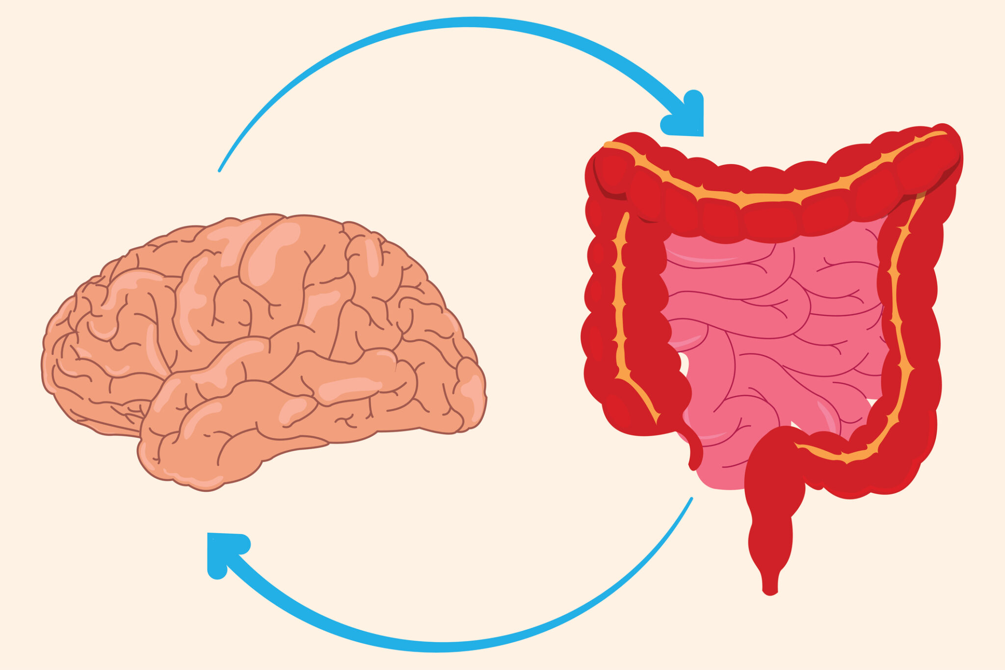 The Gut-Brain Axis – Food Studies