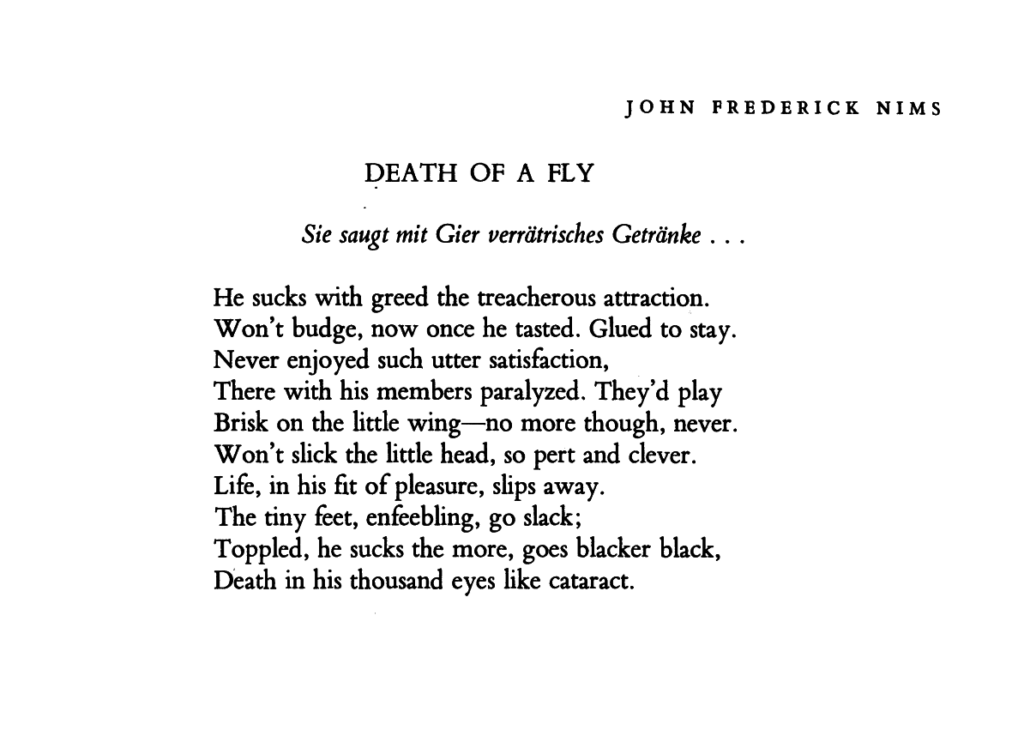 Death of a Fly – A Poem by Johann Wolfgang von Goethe | German Environments