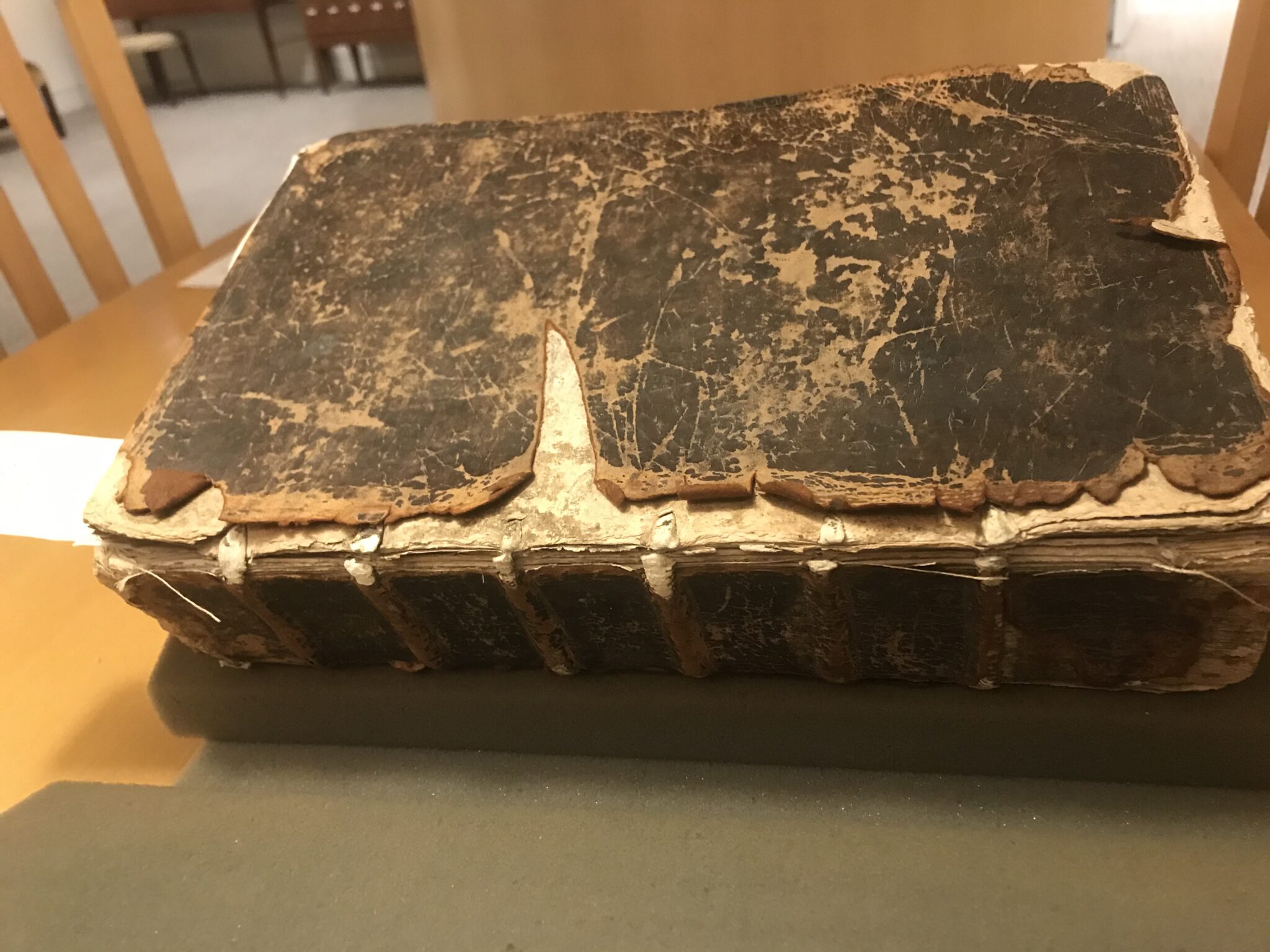 «The Historie of foure footed beastes» and «The Historie of Serpents ...