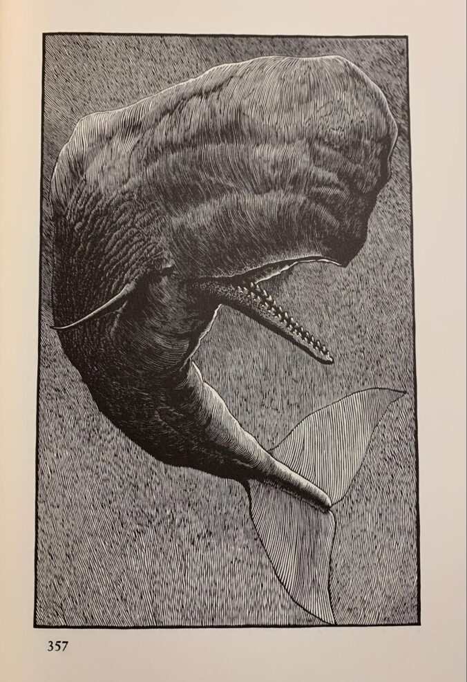 Moby-Dick; or, the Whale – History of the Book