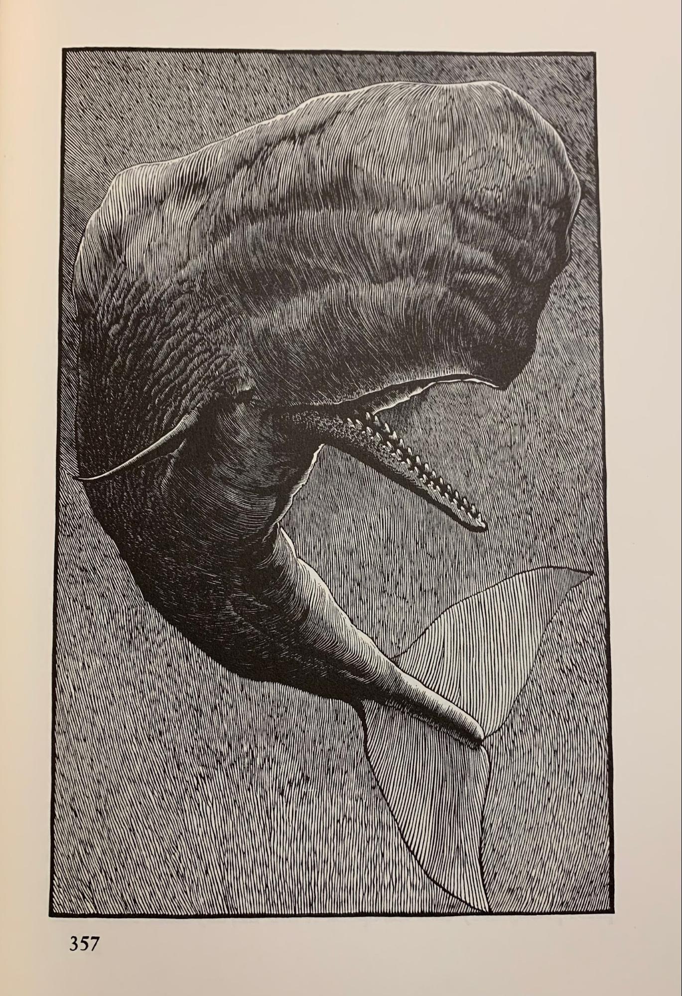 Moby-Dick; or, the Whale – History of the Book
