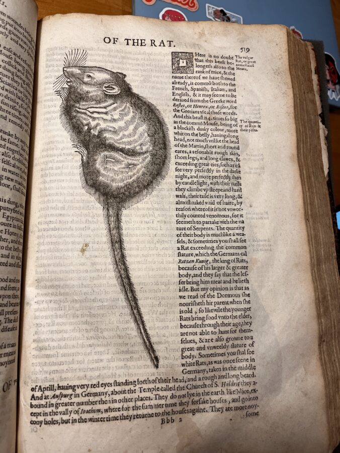 A Material Description of Edward Topsell’s The Historie of Fovre-Footed ...