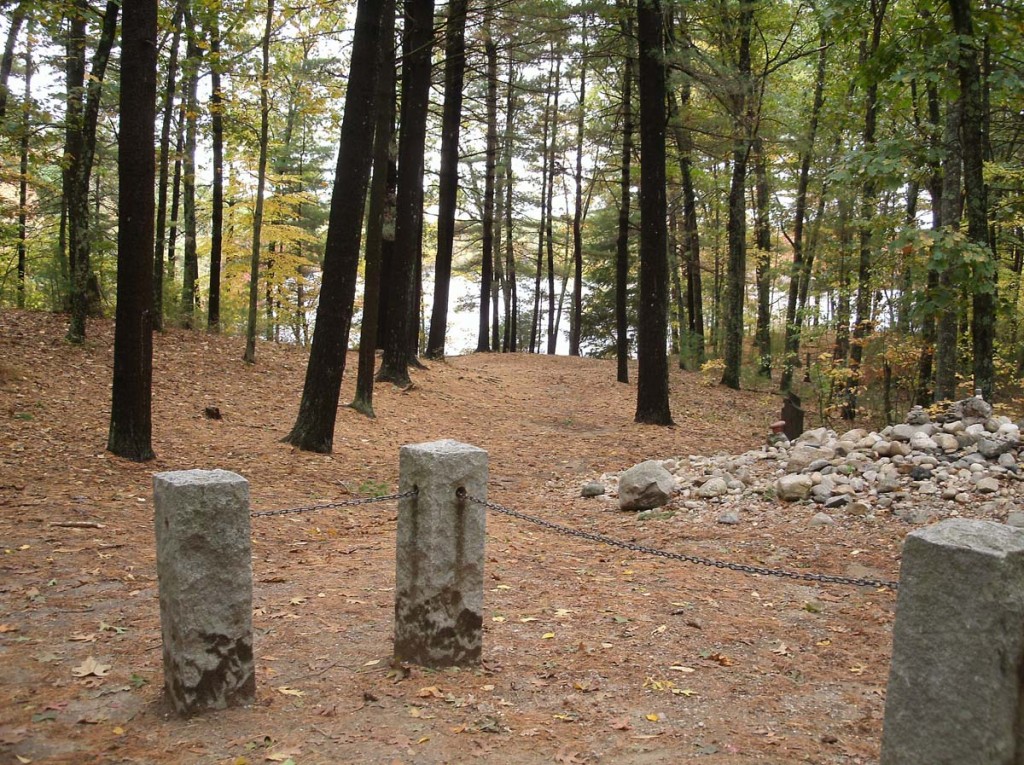 Henry David Thoreau | Romantic Natural History