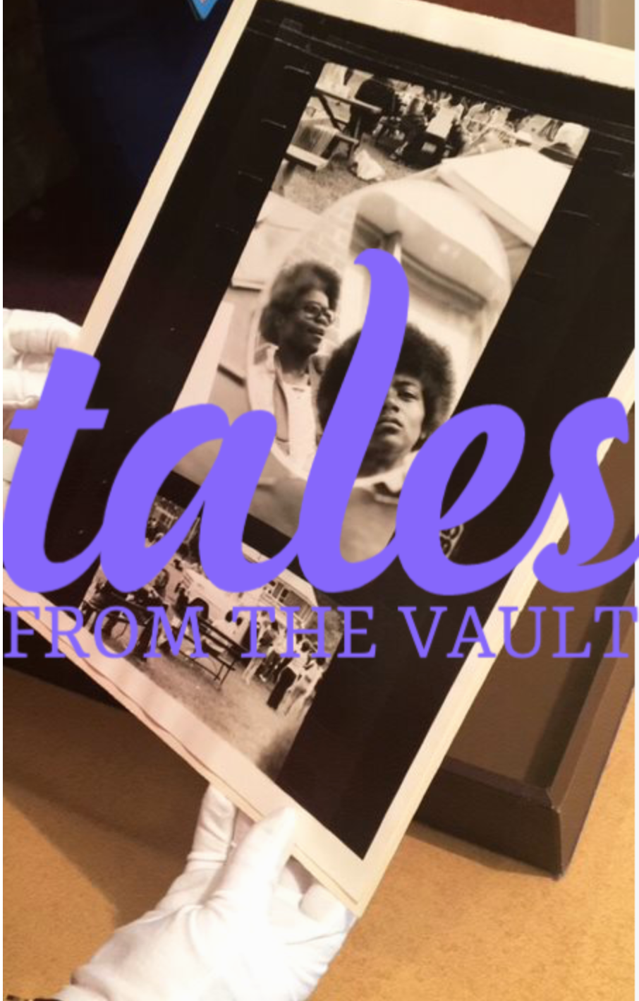 Trout Talk – Trout Talk