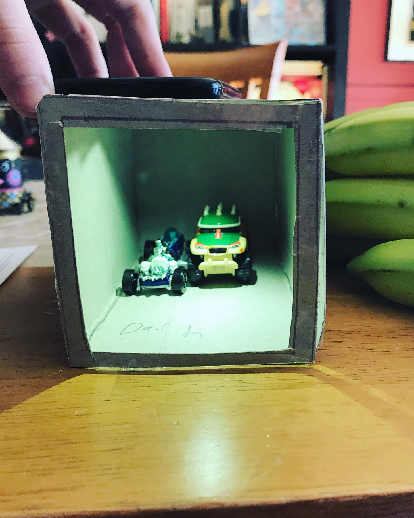 Make a Museum from Home! – Trout Talk