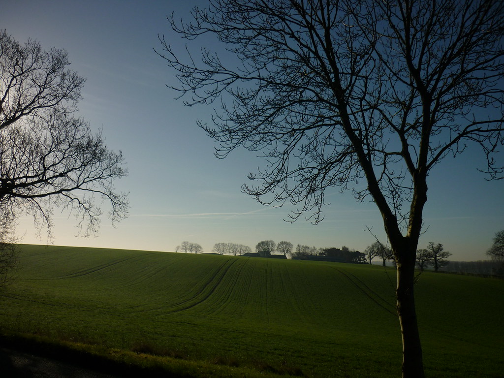 Over 200 Scientific Studies Have Been Synthesized – Watch Out Climate ...