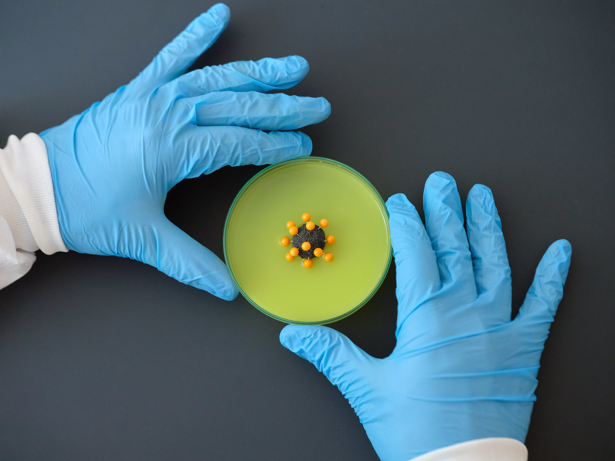 The First Gene Editing Tool that can be used on Viruses – What's the buzz?